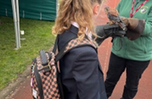 Welcome to Kingsway Park High School